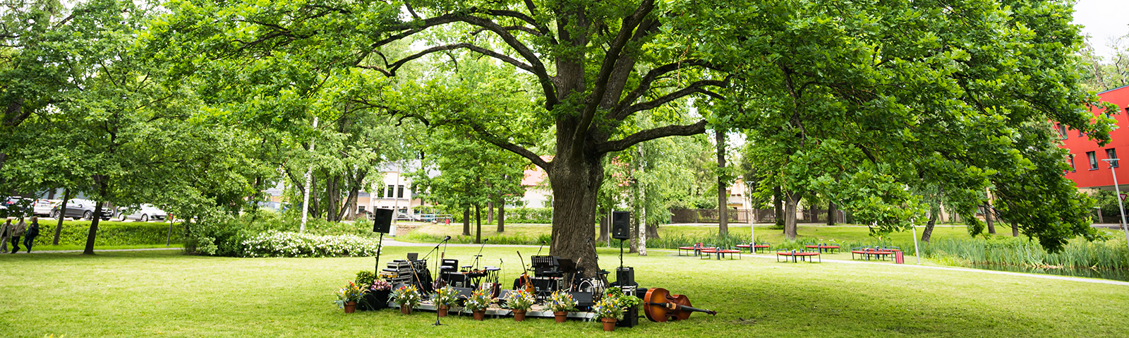 Midsummer Celebrations 2025