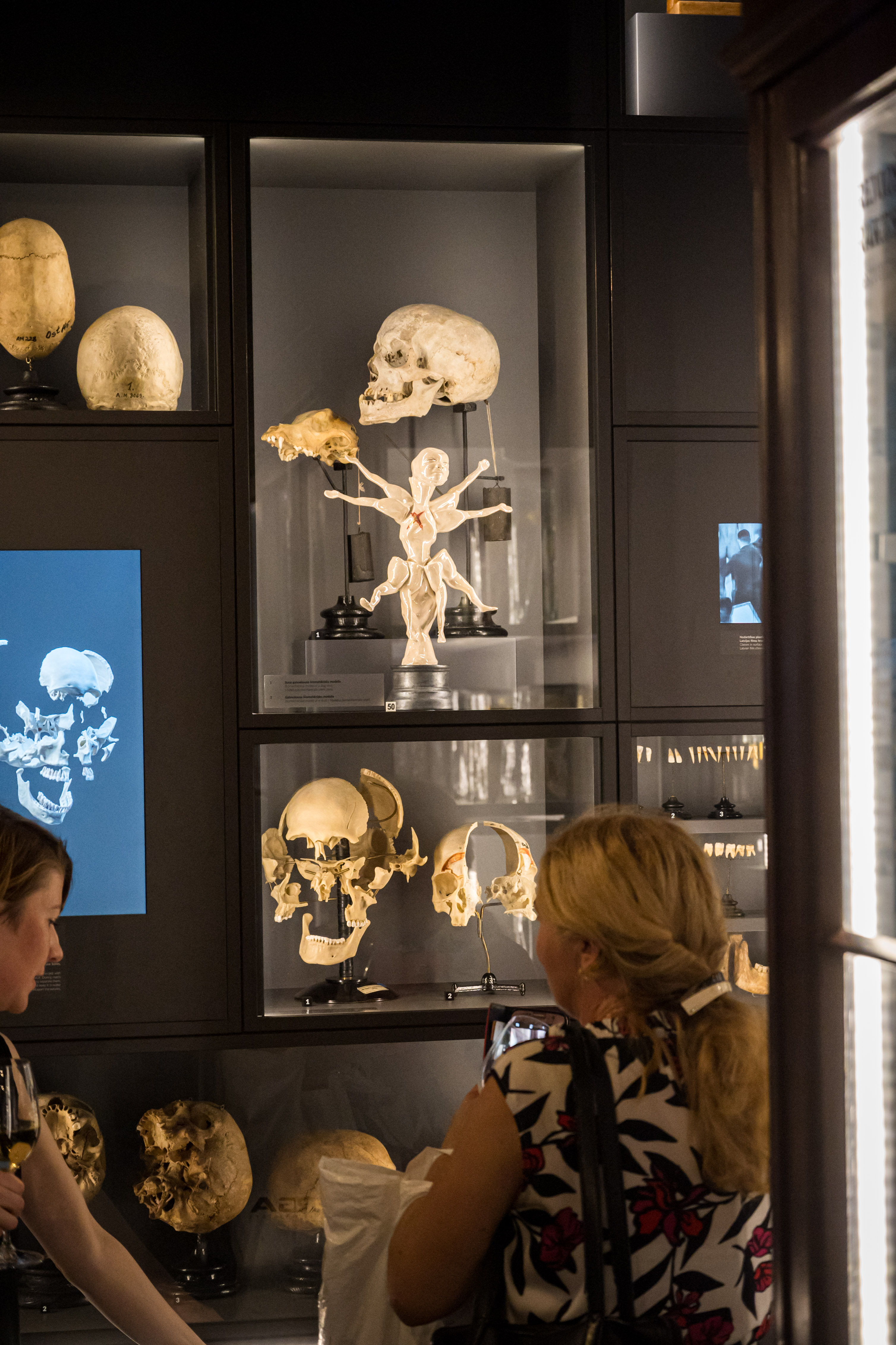 Exhibition by British Ceramicist Paddy Hartley Opens at RSU Anatomy Museum