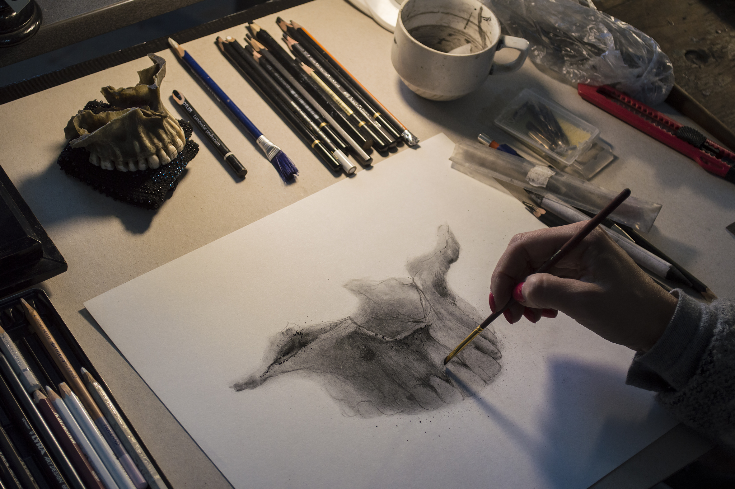 Art students learn anatomical drawing using specimens from the RSU ...