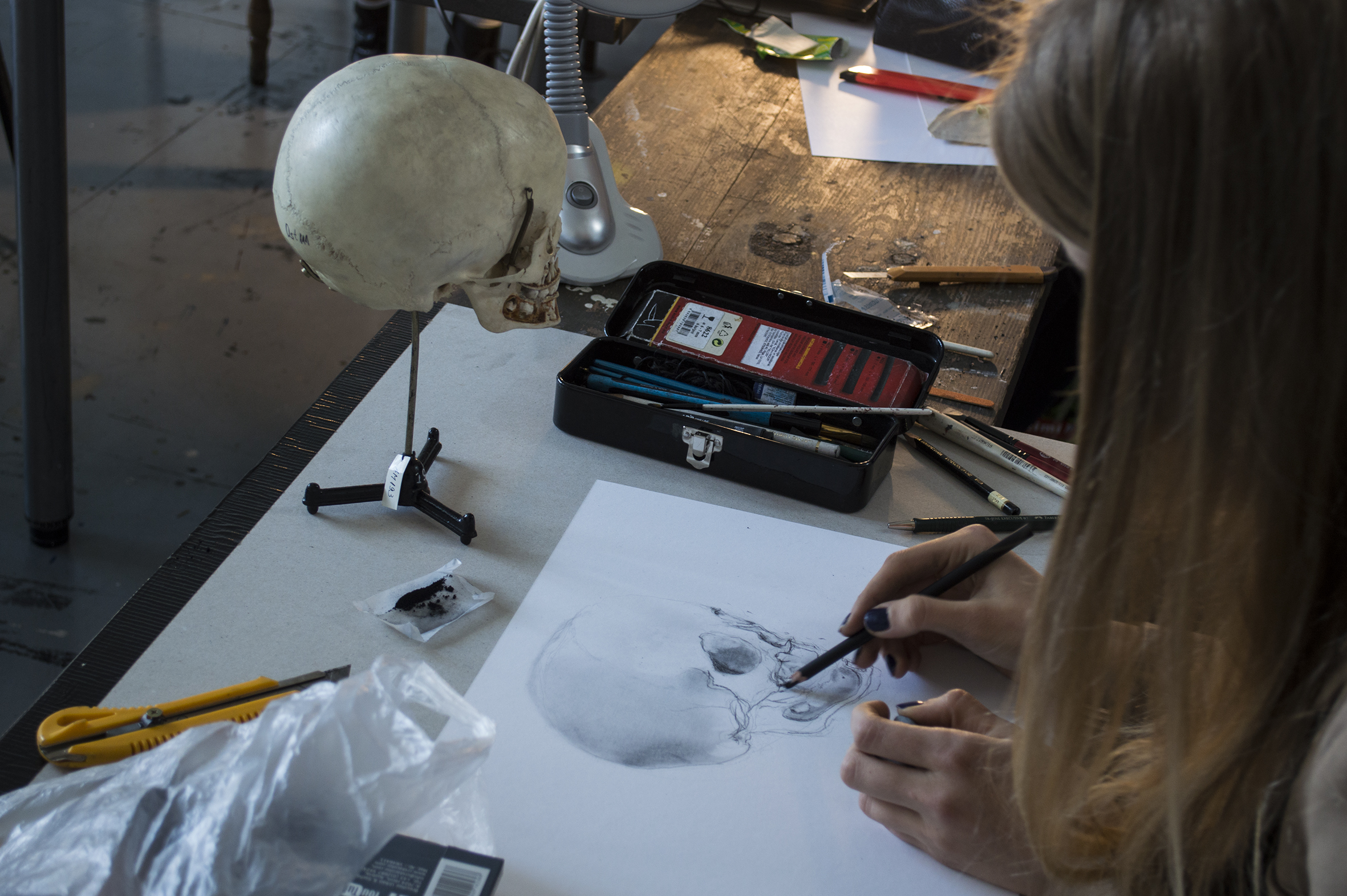 Art students learn anatomical drawing using specimens from the RSU ...