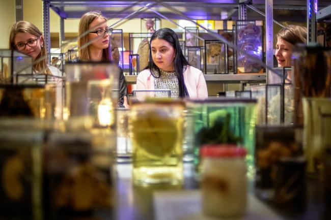 Anatomy Museum voted RSU Structural Unit of the Year 2023