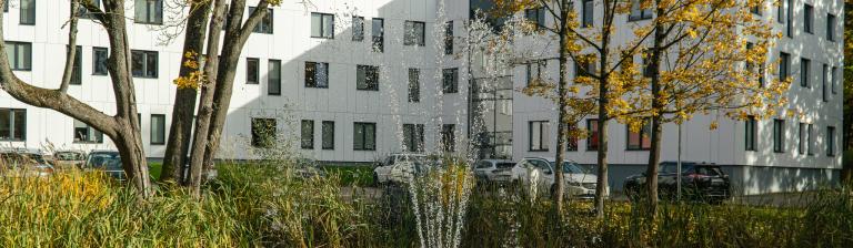 Sustainable Development Goals | RSU